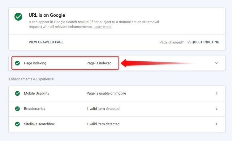 چرا سایتم تو گوگل نیست؟ 10 دلیل عدم نمایش سایت در سرچ گوگل